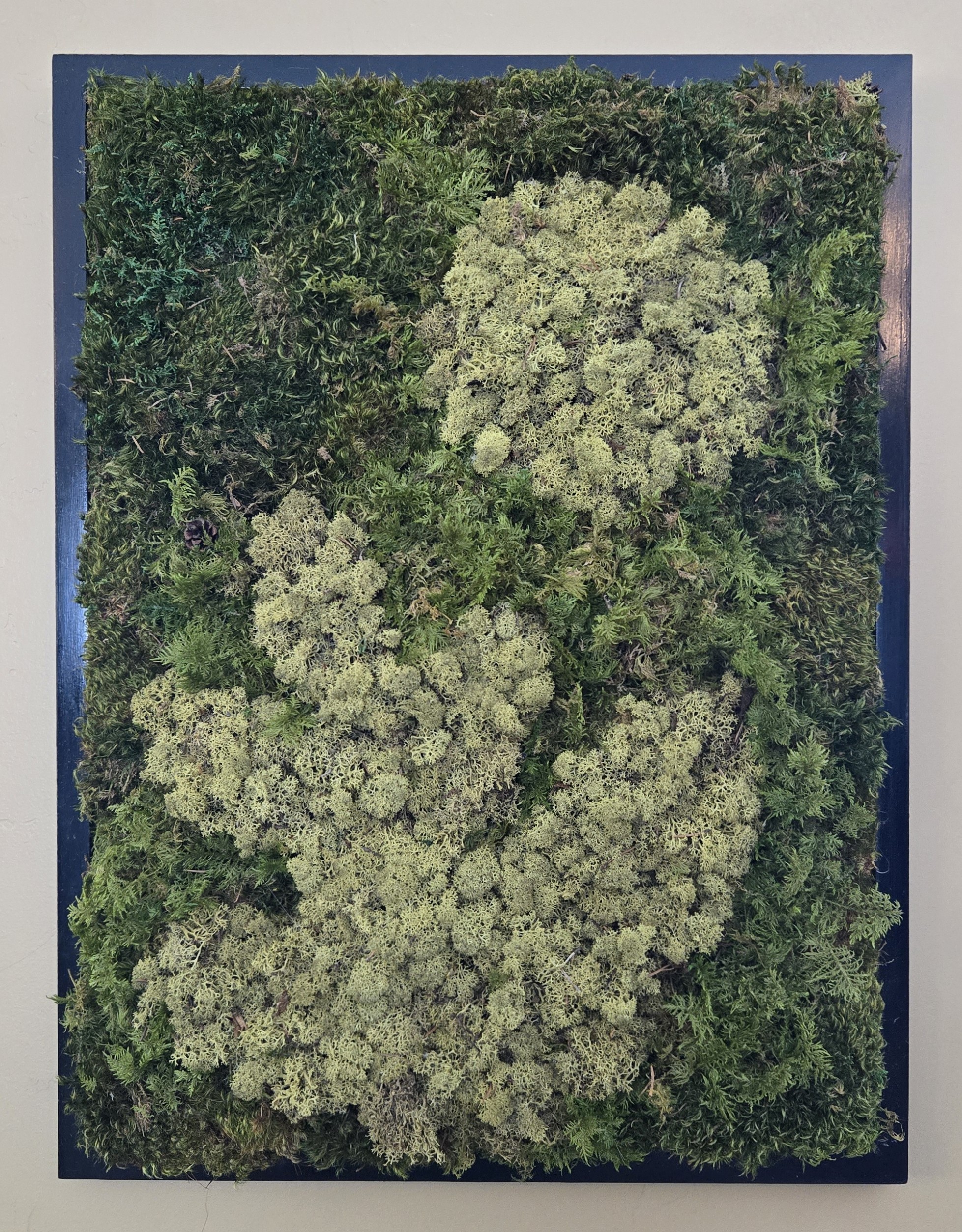 Moss Creations – Waving Pine Design